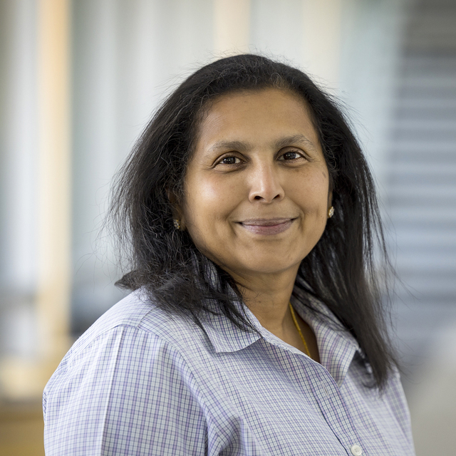 Our Team - Microbiology and Immunology | School of Medicine