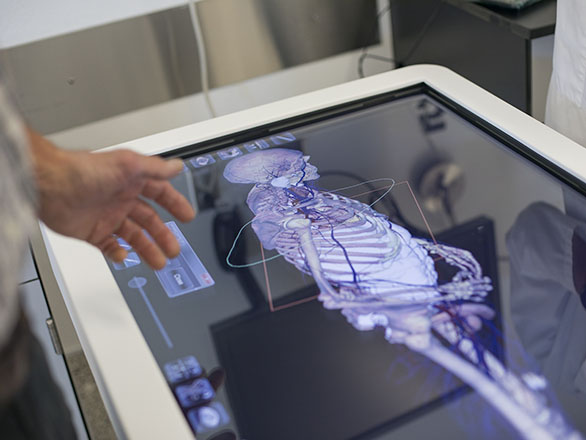 Donor Programs | School of Medicine