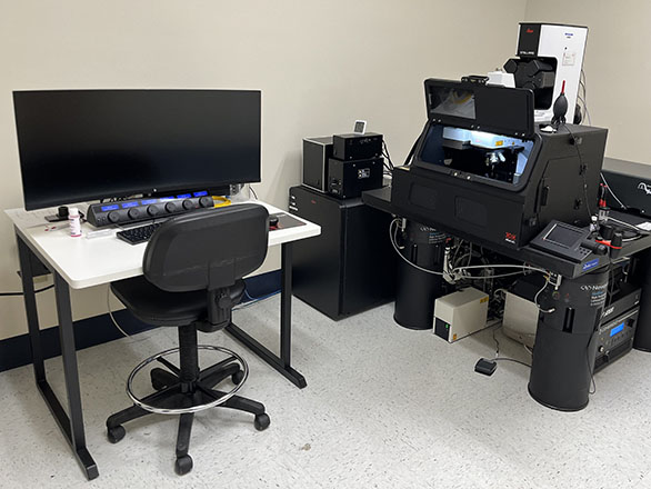 Leica Stellaris DIVE Multiphoton Microscope | School of Medicine