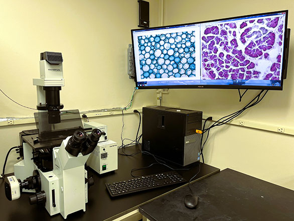 Olympus-based full-color imaging system | School of Medicine